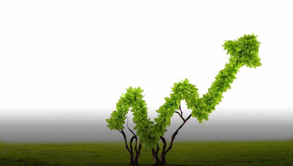 Convention citoyenne pour le climat : "Passons de la contrainte verte à ...